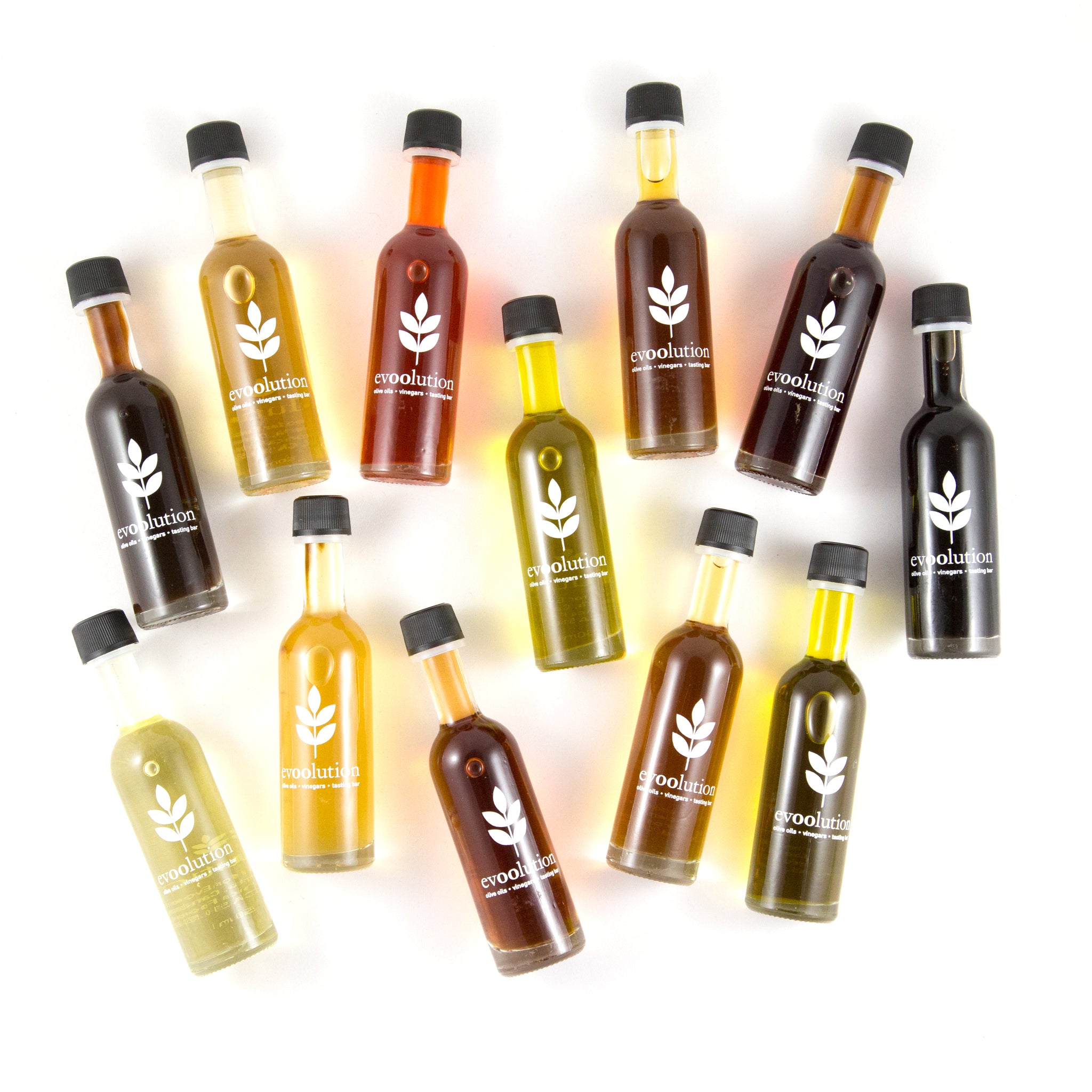 Free Mini with Subscription Renewals – Evoolution