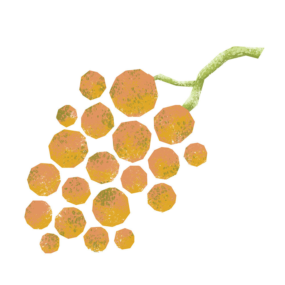 12 Year Organic - Balsamic Vinegar - Evoolution