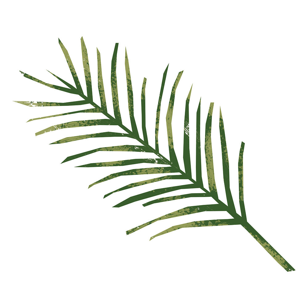Wild Rosemary - Olive Oil - Evoolution